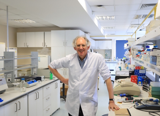 "akıllı bitkiler" - winally.com